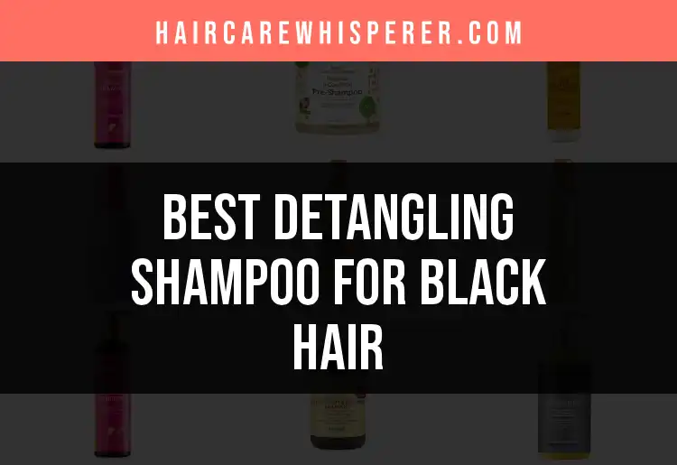 17 Best Detangling Shampoos for Black Hair