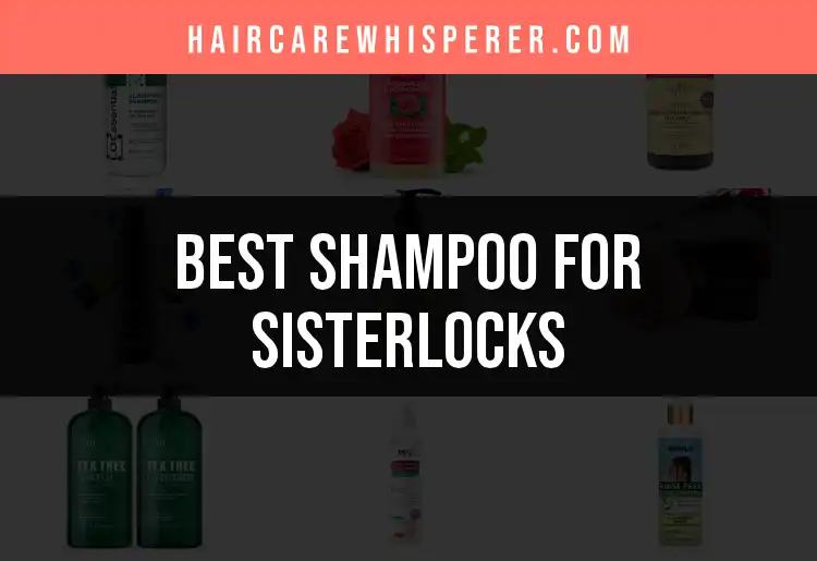 16 Best Shampoos for Sisterlocks You Need to Know
